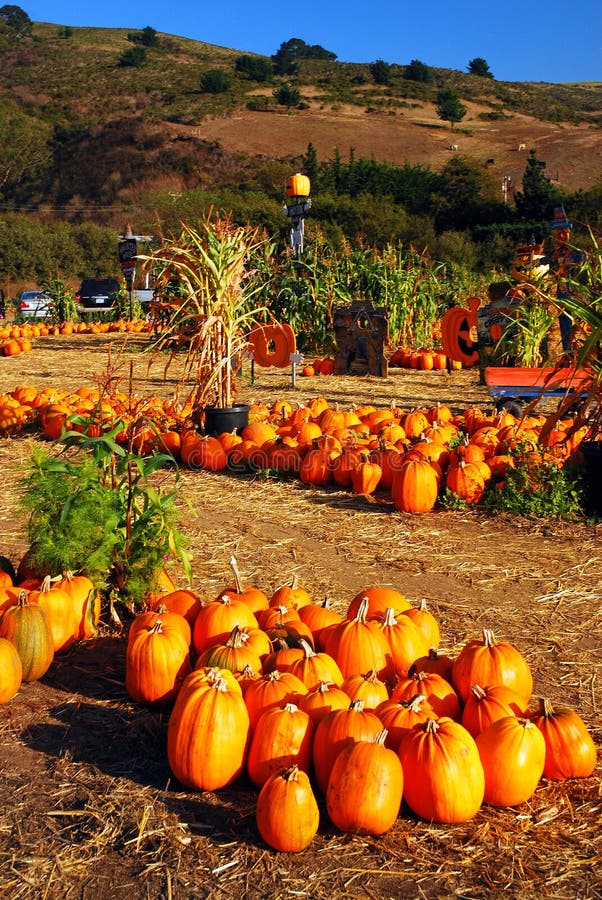 Pumpkins and Fall Decorations Editorial Image - Image of decorations ...