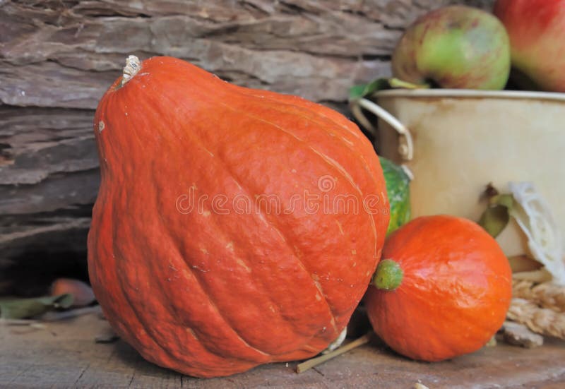 Pumpkins and fall fruits stock image. Image of decorating - 33414861