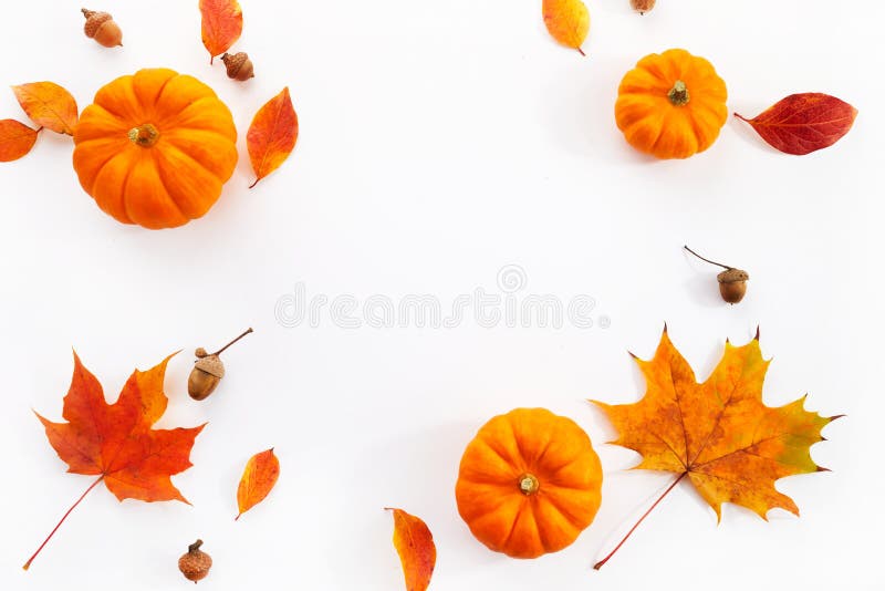 Pumpkins with Fall Leaves Over White Background. Top View. Stock Photo ...