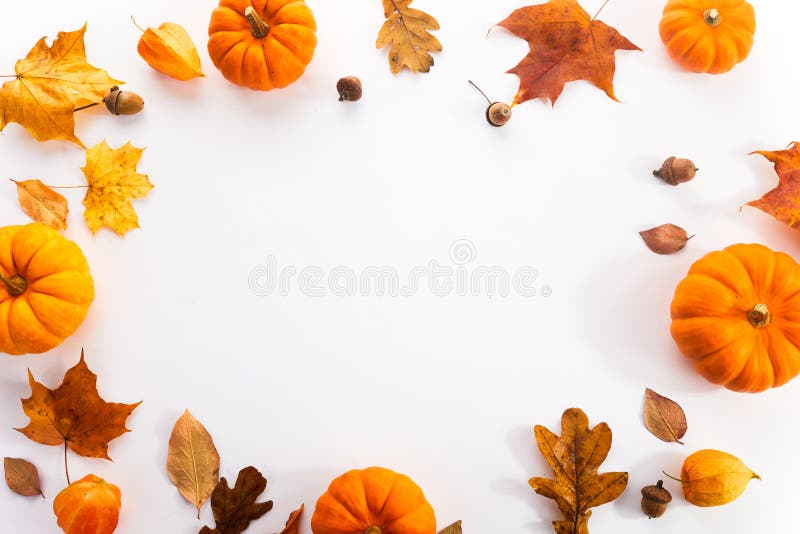 Pumpkins with Fall Leaves Over White Background. Top View. Stock Photo ...