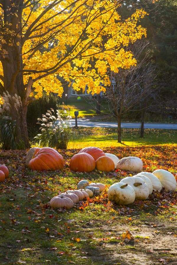 Rochester Cider Mill Stock Photos - Free & Royalty-Free Stock Photos ...