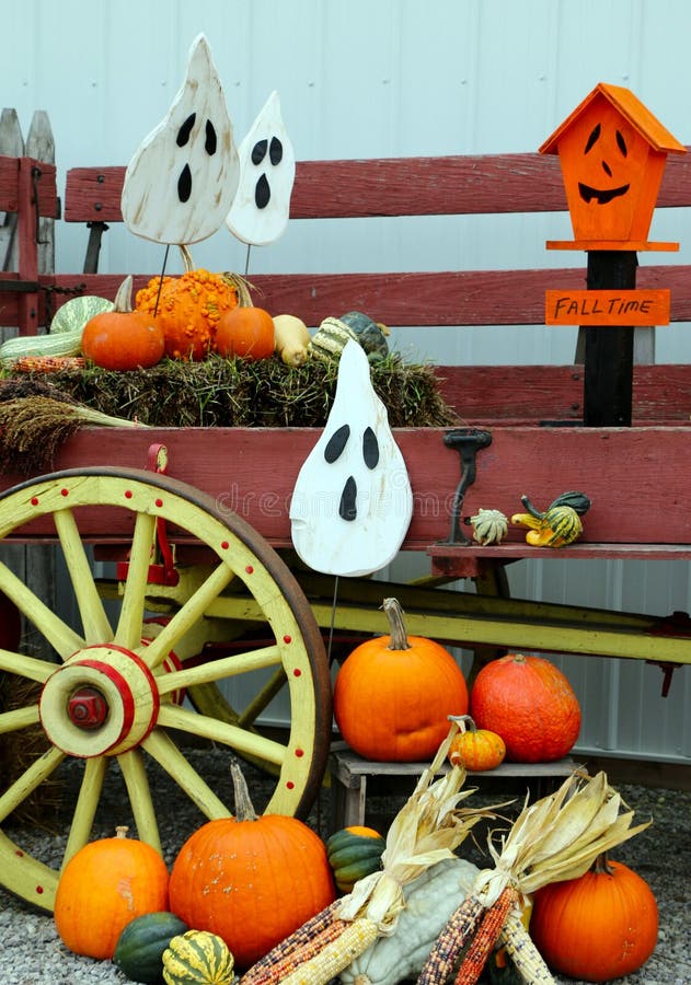 Pumpkins stock photo. Image of pumpkin, time, fields - 46030820