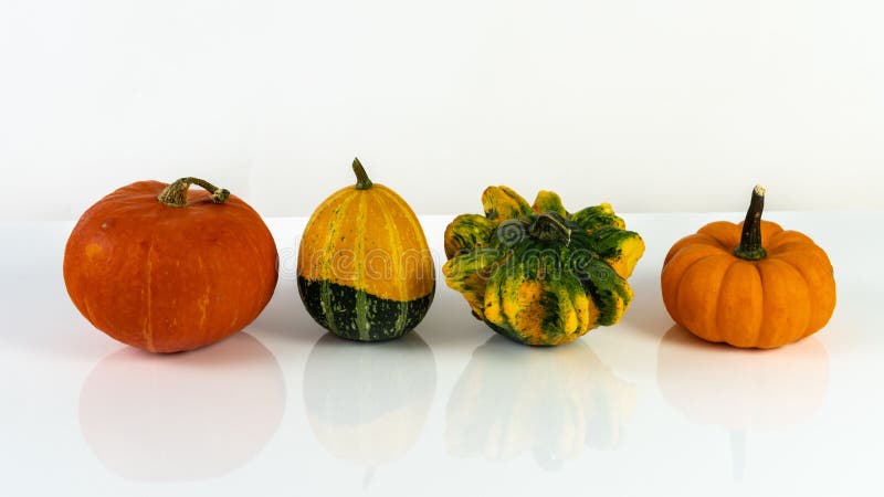 Bumpy orange gourd stock photo. Image of pumpkins, fruit - 36453342