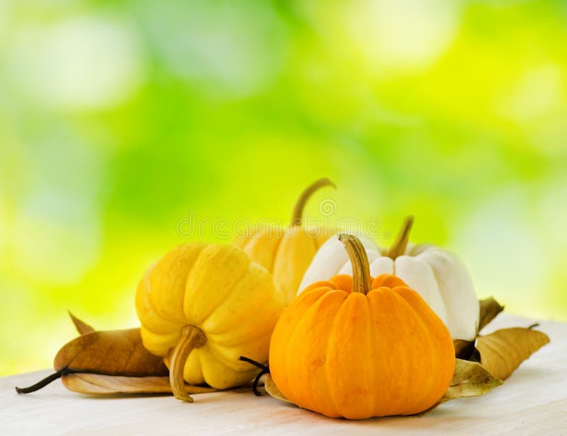 Pumpkins on Green Natural Background Stock Image - Image of healthy ...