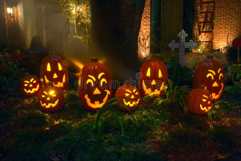Pumpkins in the Grove stock image. Image of light, pumpkins - 11917277
