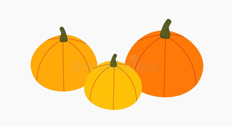 Pumpkins harvest icon stock vector. Illustration of autumnal - 262837841