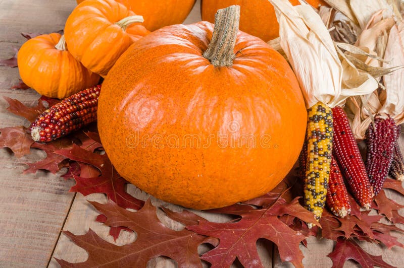 Pumpkins Indian Corn and Fall Leaves Stock Image - Image of indian ...
