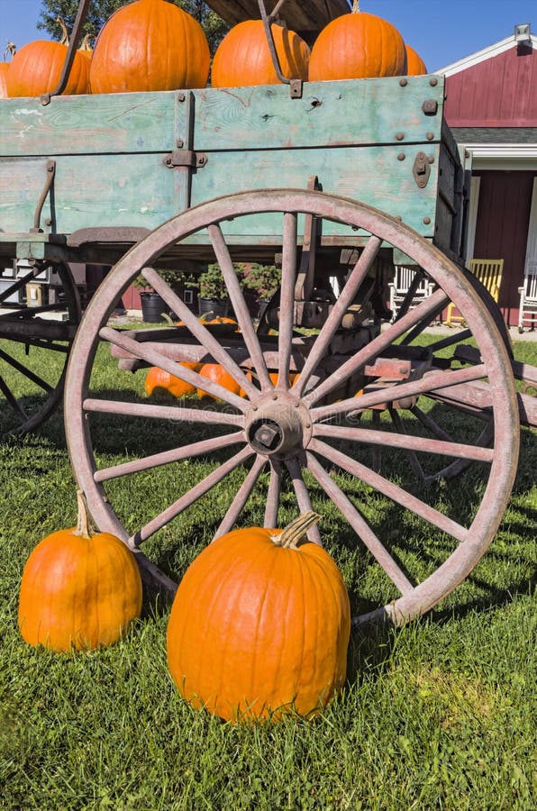 Pumpkins Wagon Stock Photos - Download 975 Royalty Free Photos