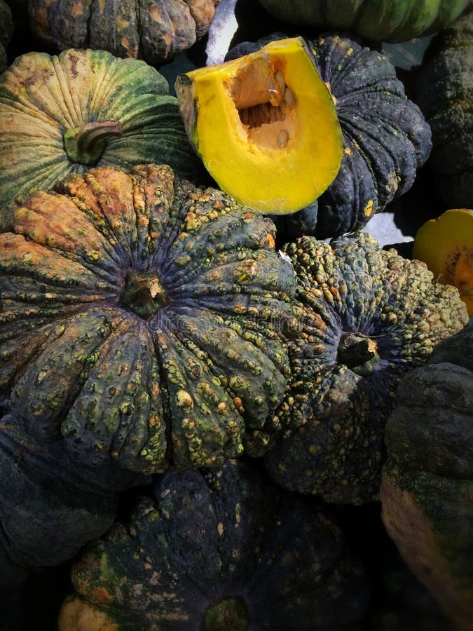 Pumpkins stock photo. Image of ripe, agriculture, harvest - 75397176