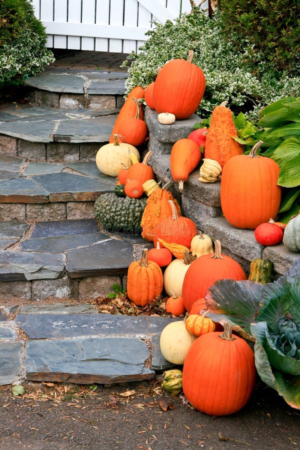Pumpkins on Rock stock photo. Image of fence, stone, rock - 23780392