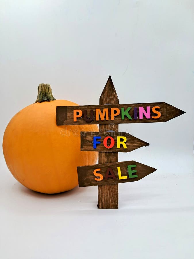 Pumpkins for sale sign stock photo. Image of label, symbol - 340592452