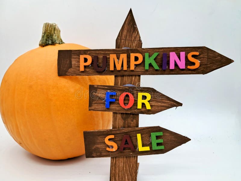 Pumpkins for sale sign stock photo. Image of wooden - 340593510