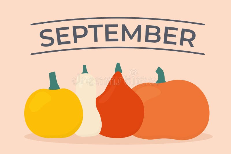 Pumpkins and September Banner Stock Vector - Illustration of drawing ...