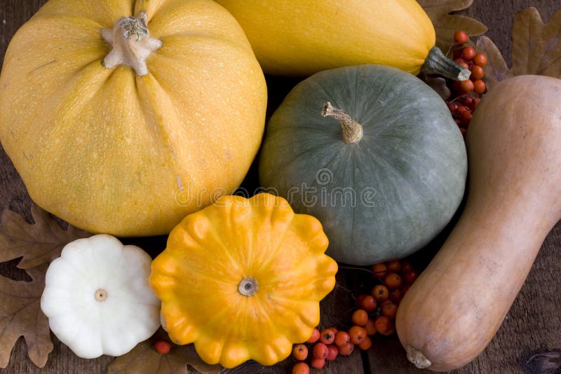 Pumpkins and squash stock image. Image of autumn, fair - 27258401