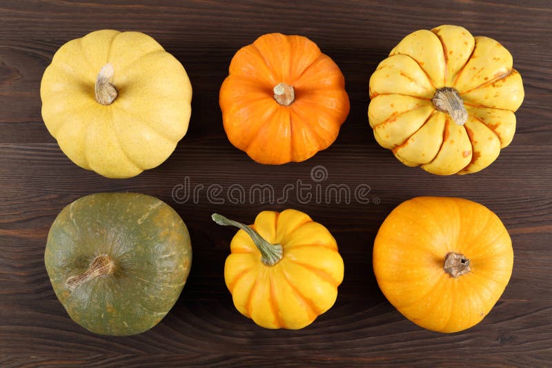 Pumpkins and squash stock image. Image of squash, fresh - 185680065