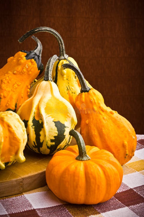 Pumpkins squash fruits stock image. Image of fruit, colorful - 26895333