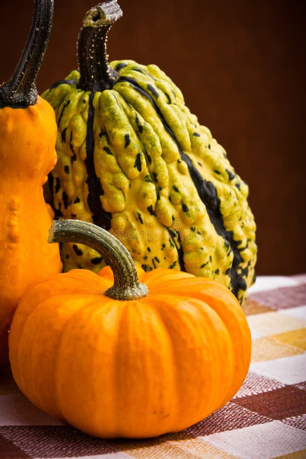Pumpkins squash fruits stock image. Image of little, festive - 28939377