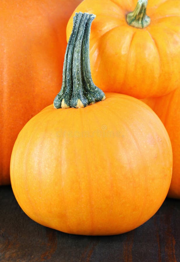 Pumpkins Stacked stock photo. Image of orange, stack - 11004102