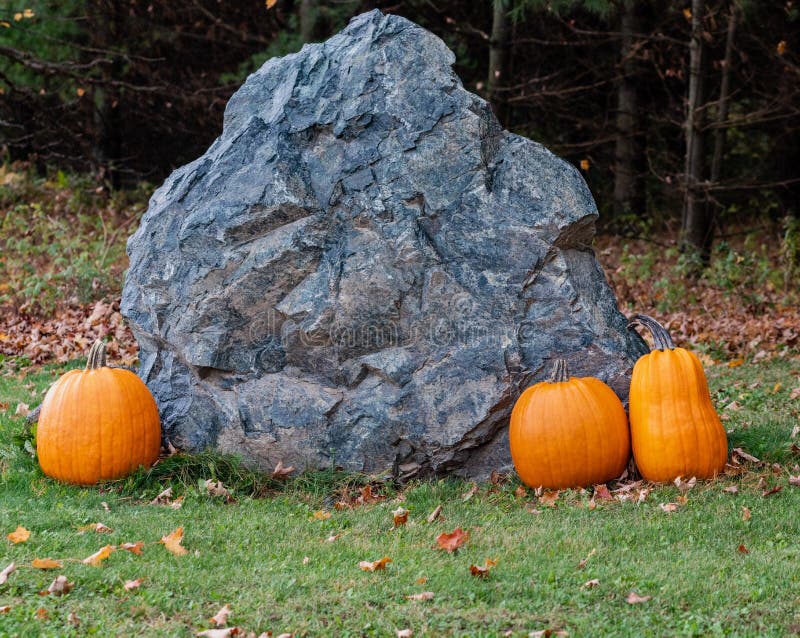 Pumpkins and a Stone Decoration in Central Wisconsin Stock Image ...