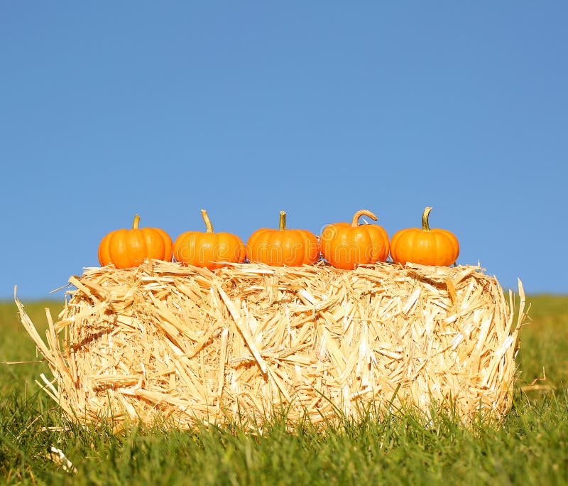 Pumpkins on Straw Bale. Outdoor Stock Image - Image of thanksgiving ...