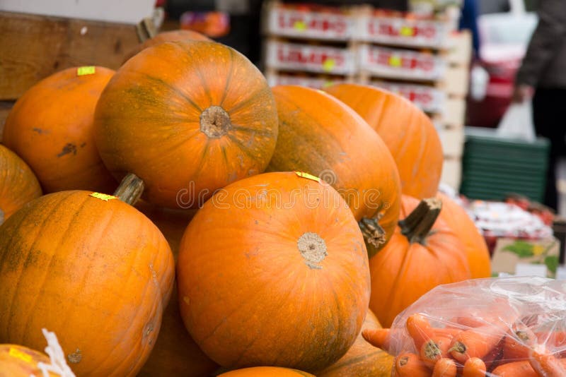 Pumpkins stock image. Image of october, garden, autumn - 47223007