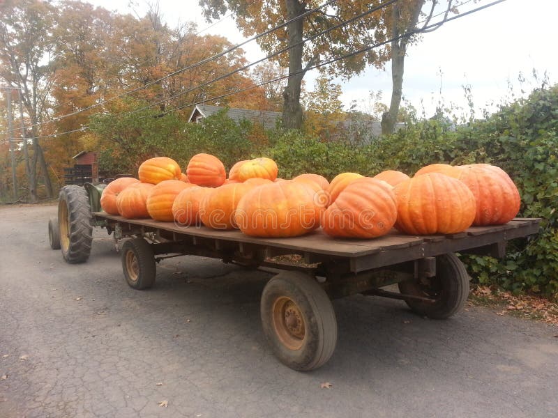 Pumpkins on a wagon stock photo. Image of orange, harvest - 140334896