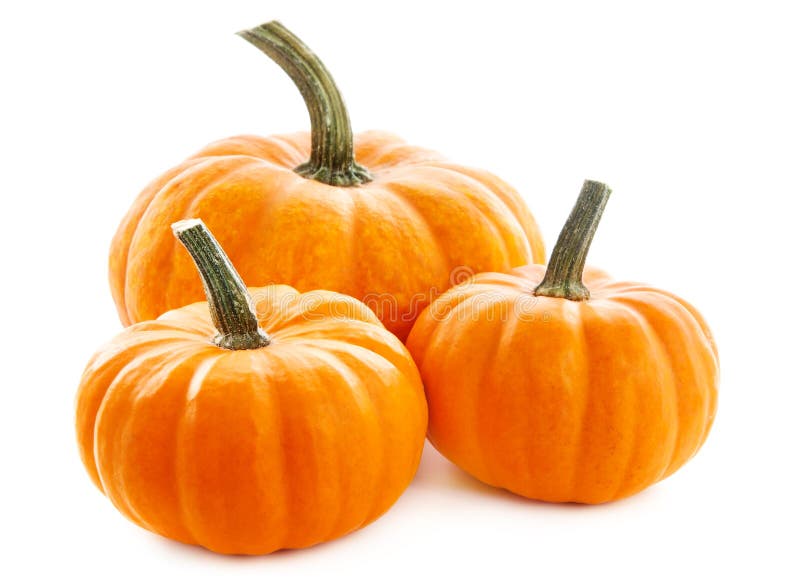 Pumpkins On White Background Stock Images - Image: 34430644