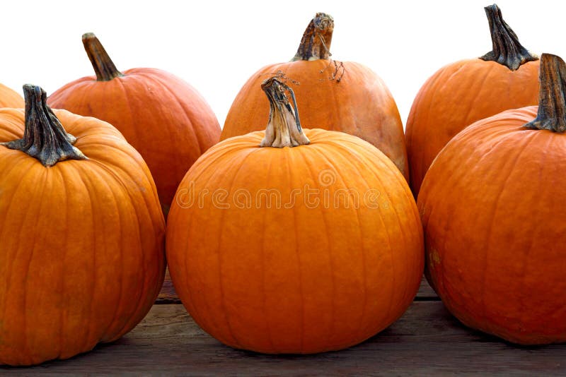 Pumpor arkivfoto. Bild av vitt, pumpa, utformning, boris - 11510910