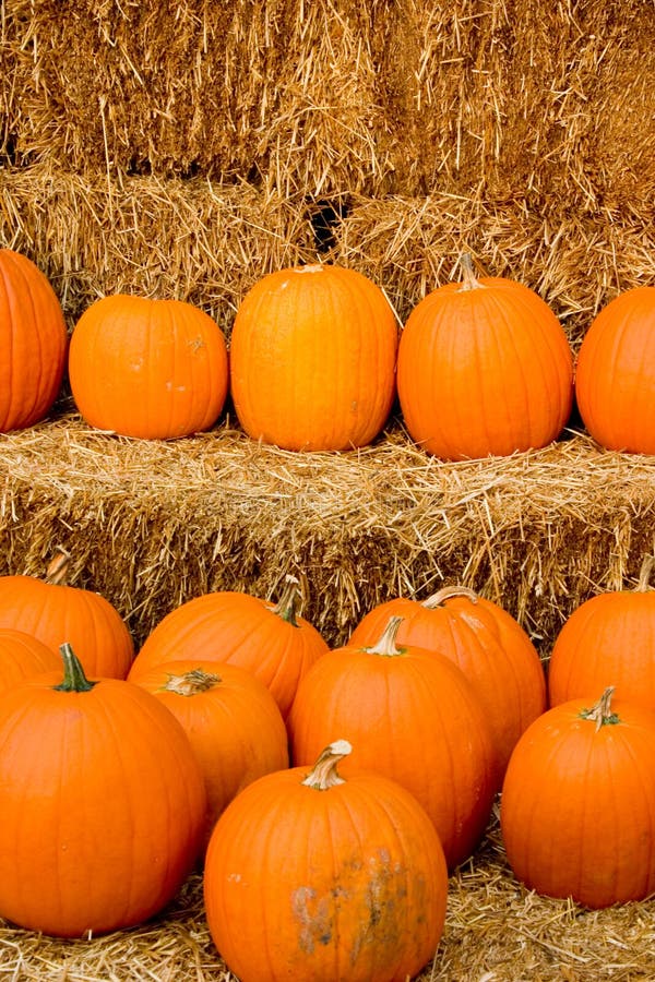 Pumpor fotografering för bildbyråer. Bild av pumpor, unikt - 1344853