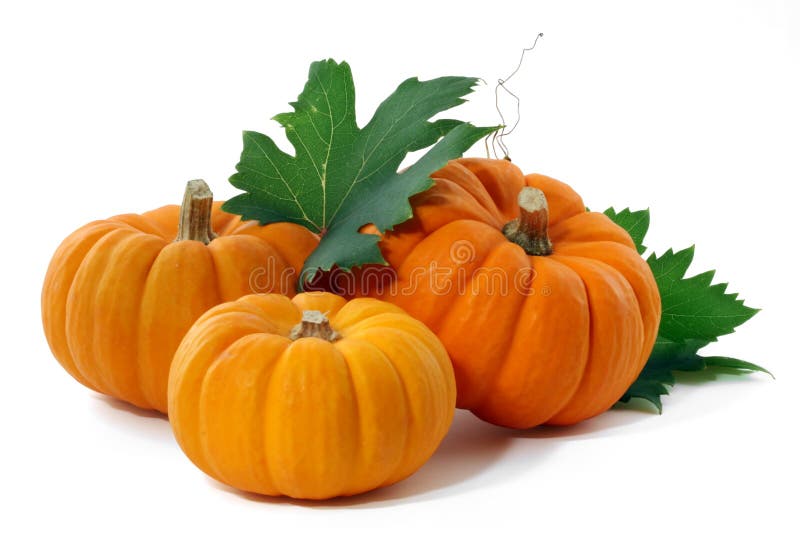 197,630 Pumpor Stock Photos - Free & Royalty-Free Stock Foton från ...