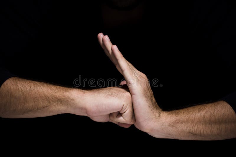 Punchon Palm Stock Photos - Free & Royalty-Free Stock Photos from ...