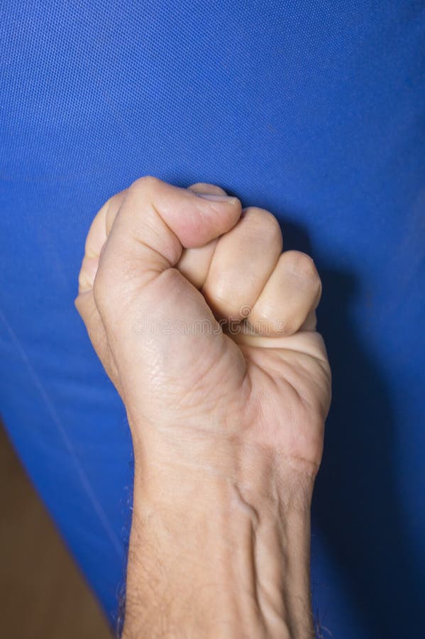 Punching bag fist stock photo. Image of fitness, concept - 200959838