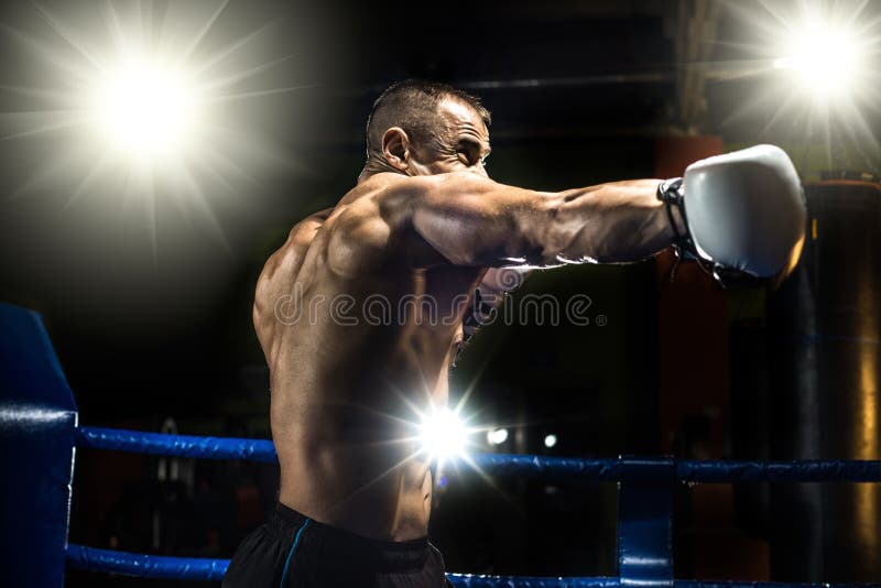 Black Boxer Brifs Fly Stock Photos - Free & Royalty-Free Stock Photos ...
