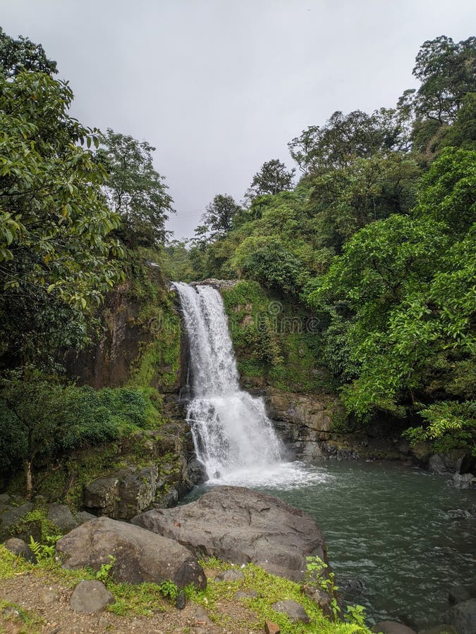 Bunga Waterfall Stock Photos - Free & Royalty-Free Stock Photos from ...