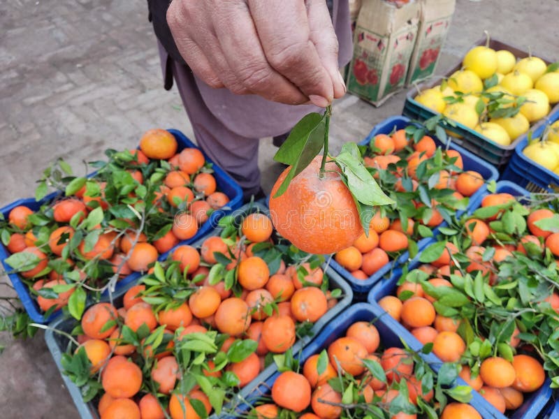 People are Selling Fruits and Vegetables in the Market Editorial Stock ... People are Selling Fruits and Vegetables in the Market Editorial Stock ...