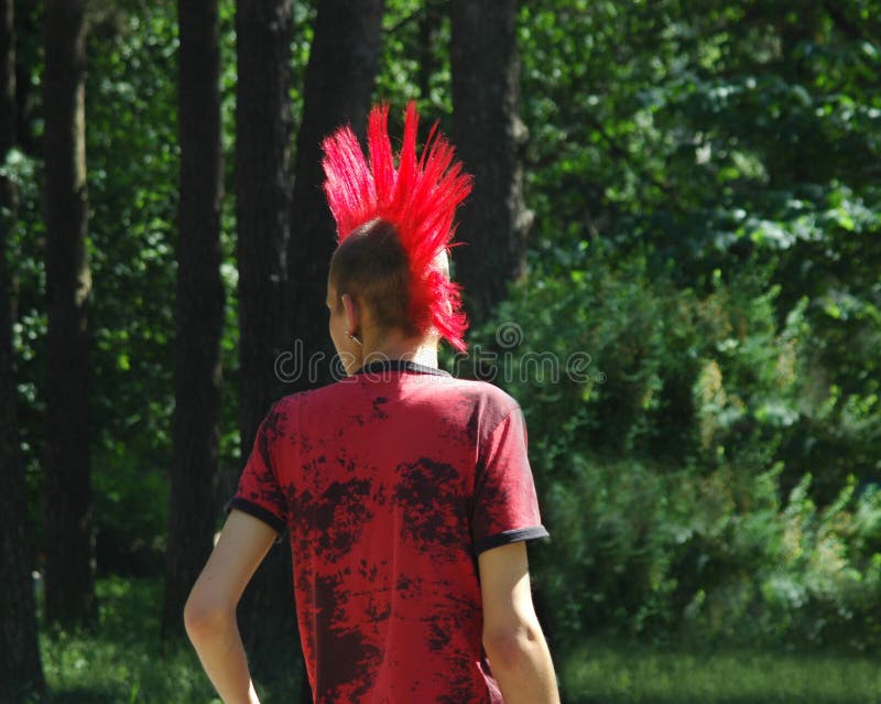 Hawk II stock photo. Image of punk, happiness, music, mohawk - 36806