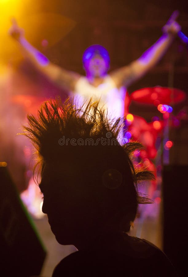 Punker stock photo. Image of style, loud, musician, hair - 18315182