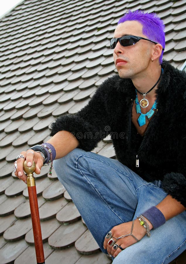 De punker van het profiel stock afbeelding. Image of alternatief - 1331609