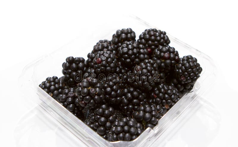 Punnet of Blackberry stock image. Image of freshness - 34646167