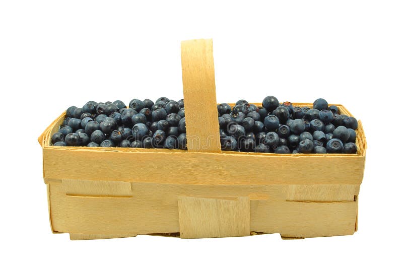 Punnet Blueberries stock image. Image of isolated, ripe - 34646233
