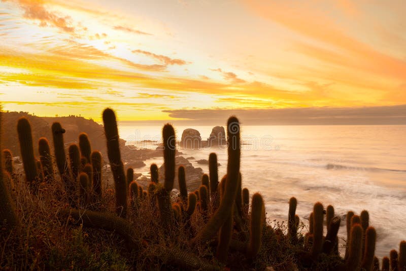 Punta De Lobos in Pichilemu Stock Image - Image of american, motion ...