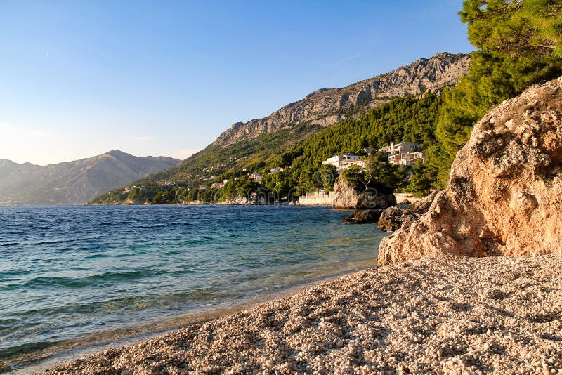 Punta rata beach stock photo. Image of adriatic, dalmatia - 66423682
