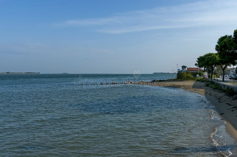 Punta Sabbioni Coast in Venetian Lagoon Stock Photo - Image of trees ...