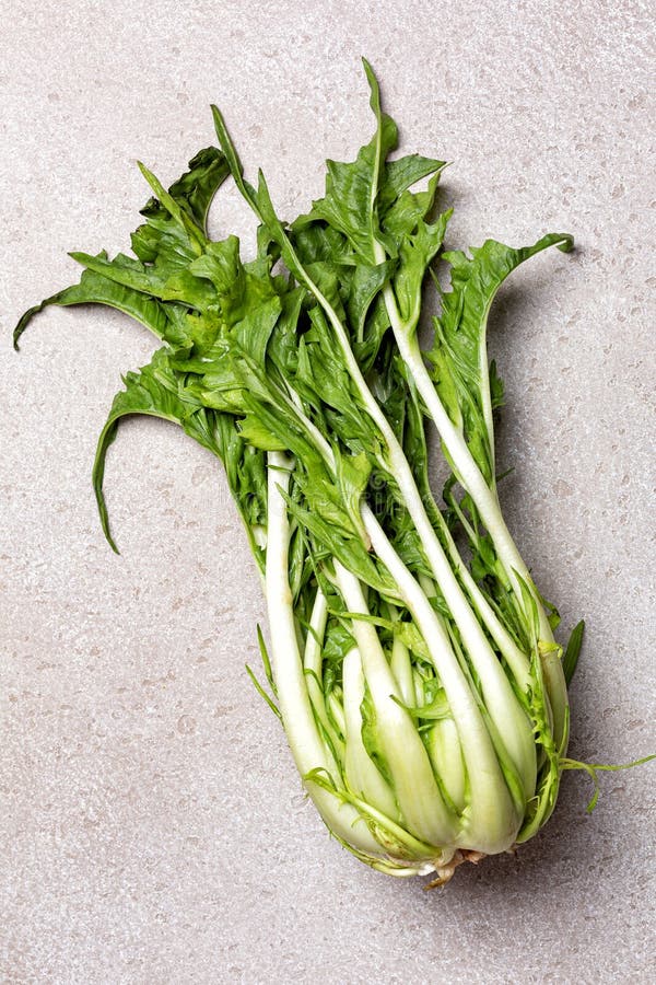 Puntarelle are the Sprouts of a Special Variety of Chicory Stock Image ...