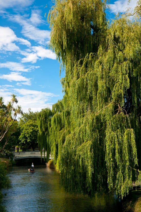 Punting on the Avon River stock photo. Image of tourist - 18807198