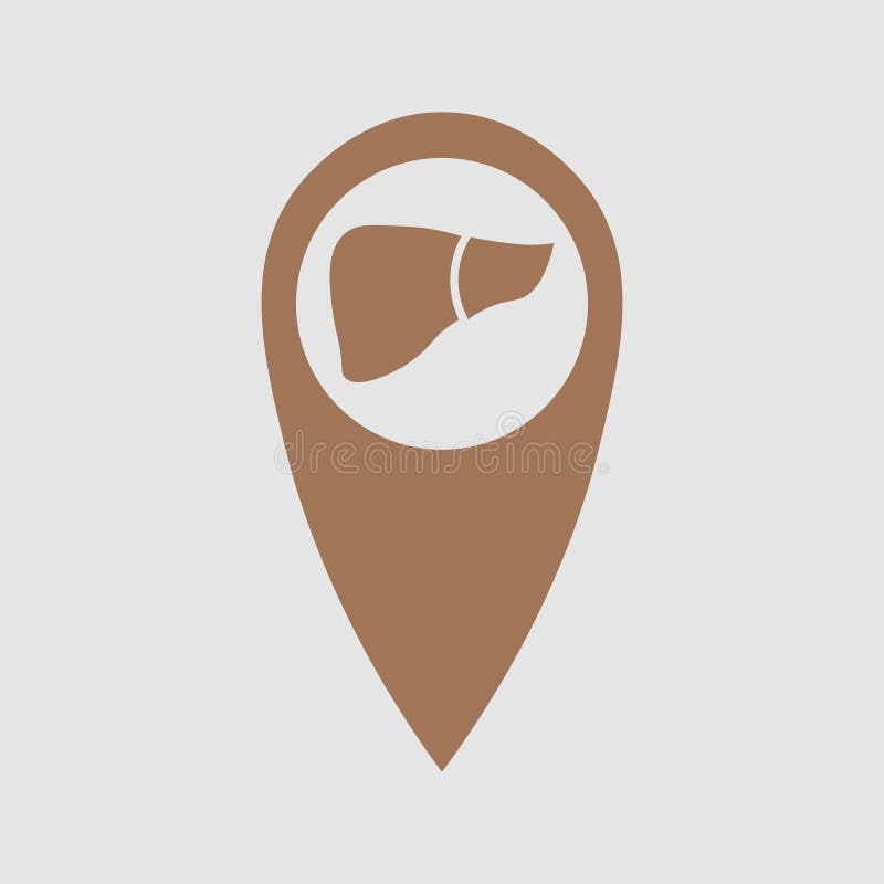 De Plaats Van De Lever In Het Vrouwelijke Lichaam, Het Menselijke ...