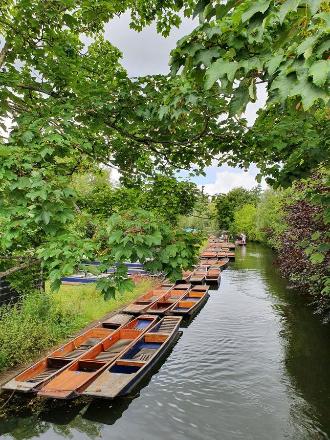 Punts at Cambridge stock photo. Image of traditional - 68420880