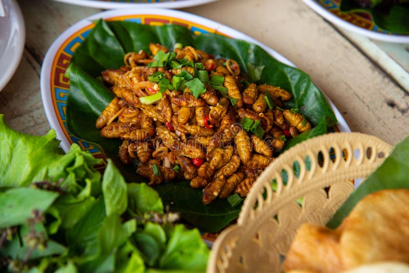 Pupa stock image. Image of delicious, meal, snack, tasty - 175605283