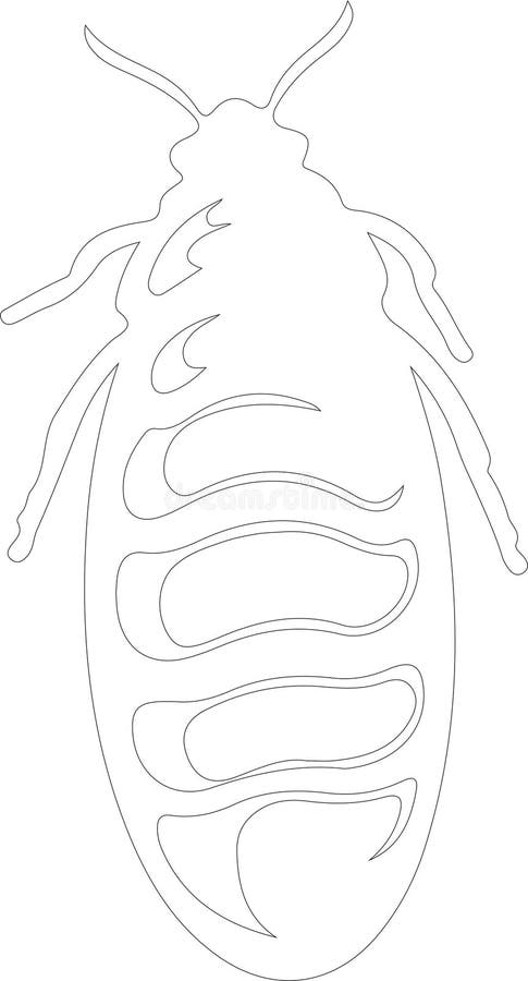 Pupa Stock Illustrations – 3,252 Pupa Stock Illustrations, Vectors ...