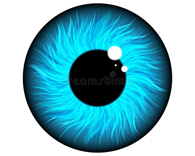 Pupil of the eye stock vector. Illustration of design - 101867122